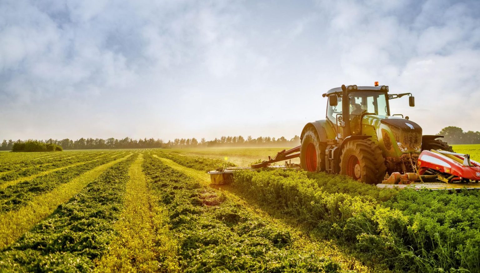 Sectors – AP3 Advisory